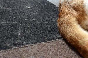 How Do You Clean Dirty Carpet Edges? - Carpet Cleaning Singapore